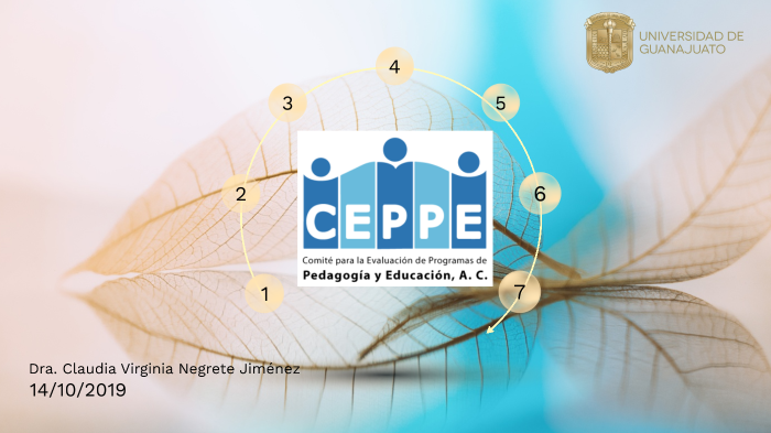 CEPPE by Erik Vargas on Prezi