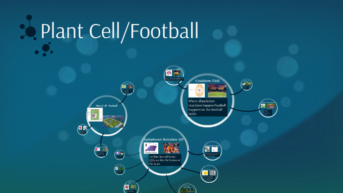 Plant Cell/ Football by Alex Enriquez on Prezi