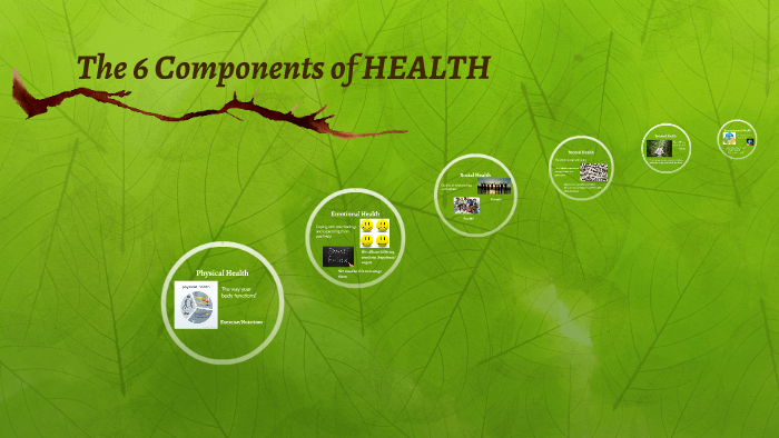 The 6 Components of HEALTH by Rob Costis on Prezi