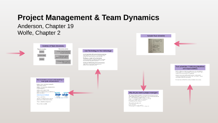 Project Management & Team Dynamics by Michael McGinnis on Prezi