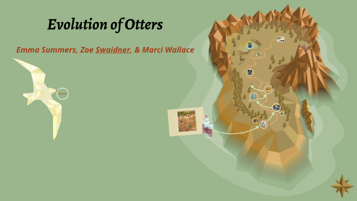 Evolution of Otters by Marci Wallace on Prezi