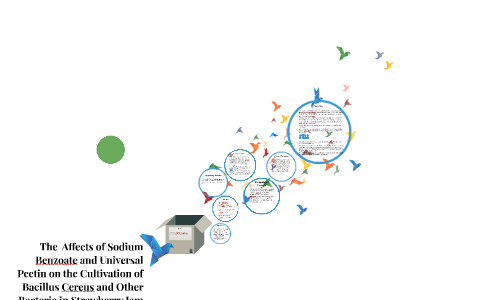 SDI Investigation Project Design: The Effects of Sodium Benzoate and ...
