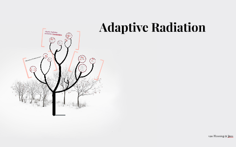 Adaptive Radiation by Jörn J on Prezi
