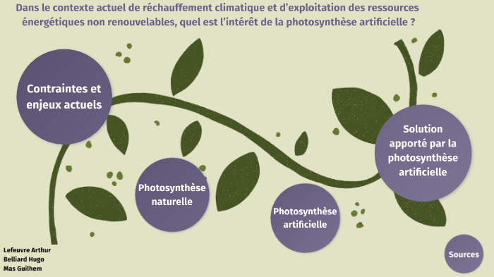 Photosynthèse by Arthur Lefeuvre on Prezi