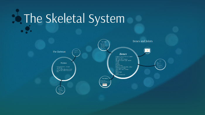 The Skeletal System by Amanda Popovich on Prezi