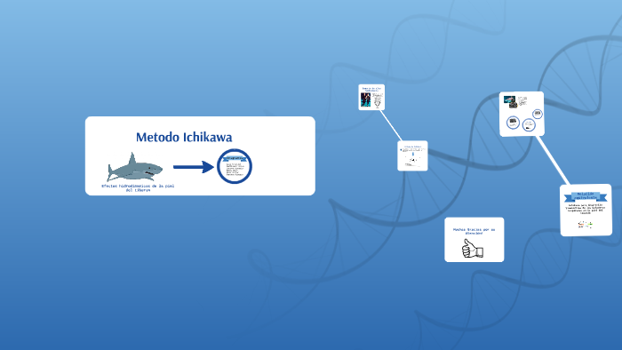 Metodo Ichikawa by Victor Ruiz on Prezi
