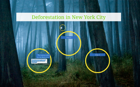 Deforestation in New York City by omar pena on Prezi