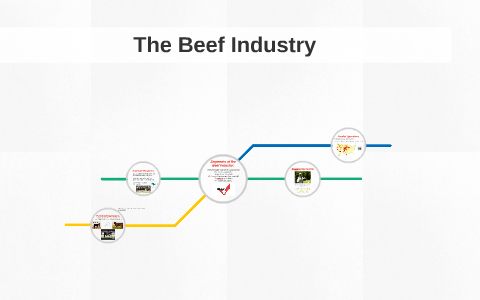 The Beef Industry by Michael Kirkland