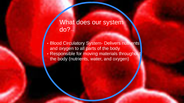 The Circulatory System- Parts of the Blood by Giselle Yepiz on Prezi