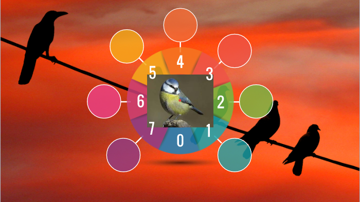 oiseaux by kelly duguay-metivier on Prezi