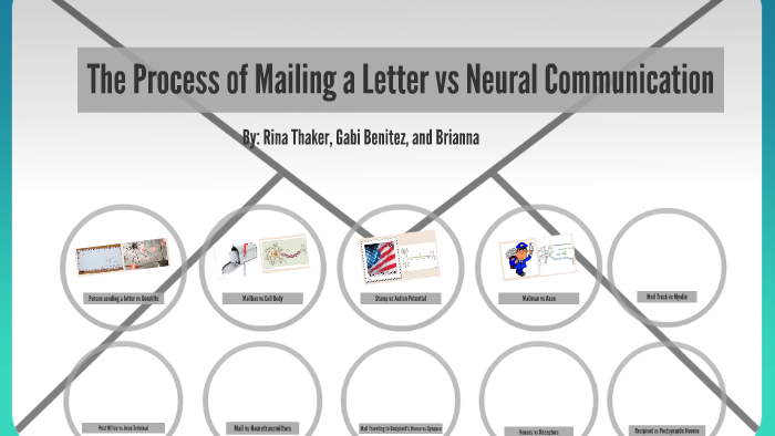 The Process of Mailing a Letter vs Neural Communication by Rina Thaker ...
