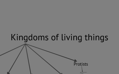 Five Kingdom Concept Map by James Zambelli on Prezi