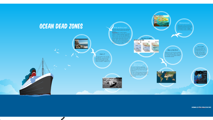 Ocean Dead Zones by Sarah Hochstein on Prezi
