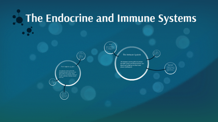 The Endocrine and Immune Systems by Amanda Juhlin on Prezi