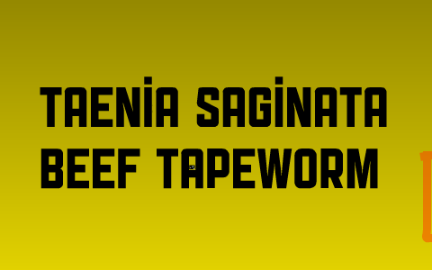 Taenia Saginata by Misha Thompson on Prezi