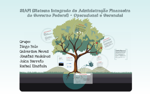 SIAFI (Sistema Integrado de Administração Financeira do Gove by Rafael ...