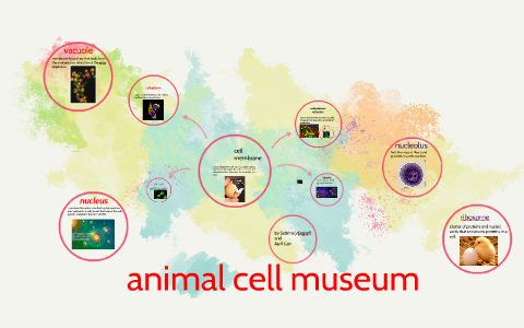 animal cell museums by sabrina wiegreff on Prezi