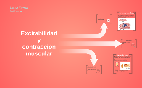 Excitabilidad contracción muscular by diana herrera on Prezi