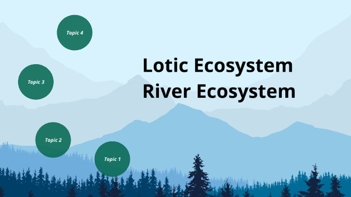 Lotic Ecosystem by marwa mashaly on Prezi