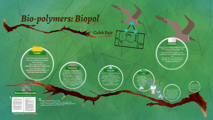 Biopolymers: Biopol by Dan Paje on Prezi