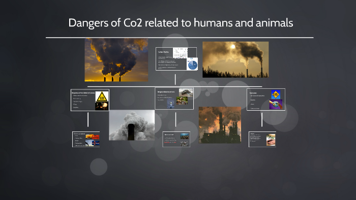 Dangers of Co2 related to humans and animals by Gustav vestlie on Prezi