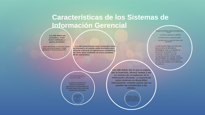 Sistema De Informacin Gerencial