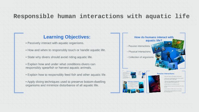 Responsible human interactions with aquatic life by James Fletcher on Prezi