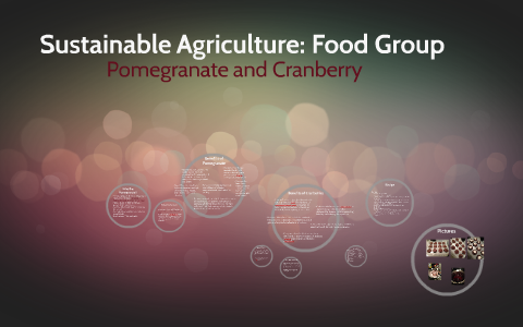 Food group project thing by jade marie on Prezi