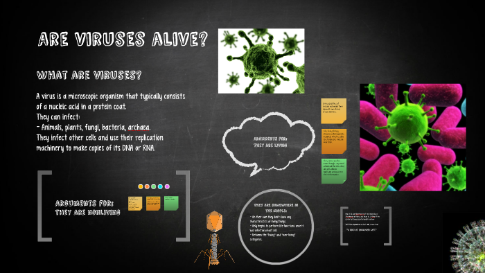 Are viruses alive? by Sara Fleming on Prezi