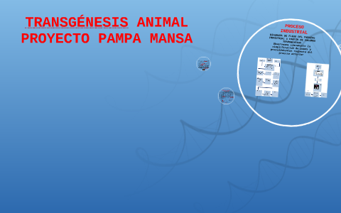 TRANGÉNESIS ANIMAL by Myriam Olmedo Morán on Prezi