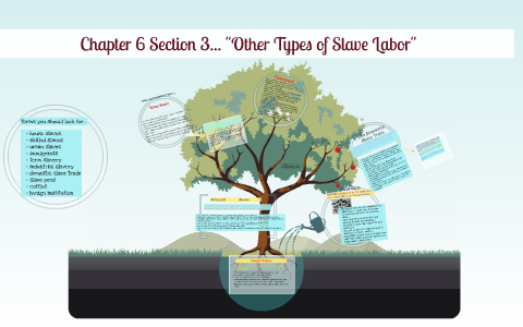 Chapter 6 Section 3... "Other Types of Slave Labor" by Kayla Harrison ...
