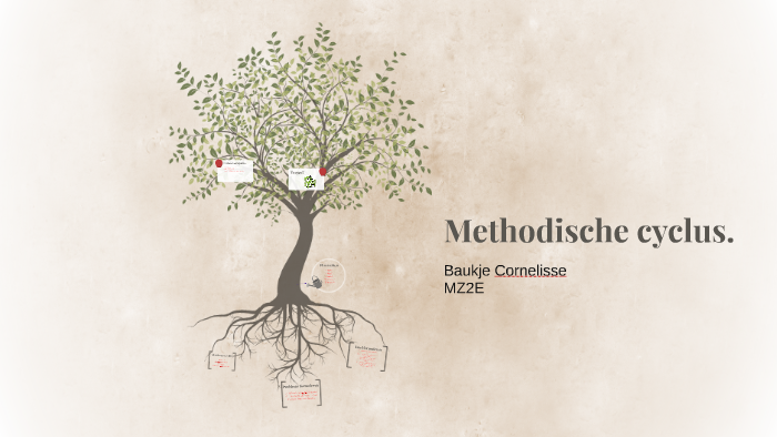 methodische cyclus by amalia wever on Prezi