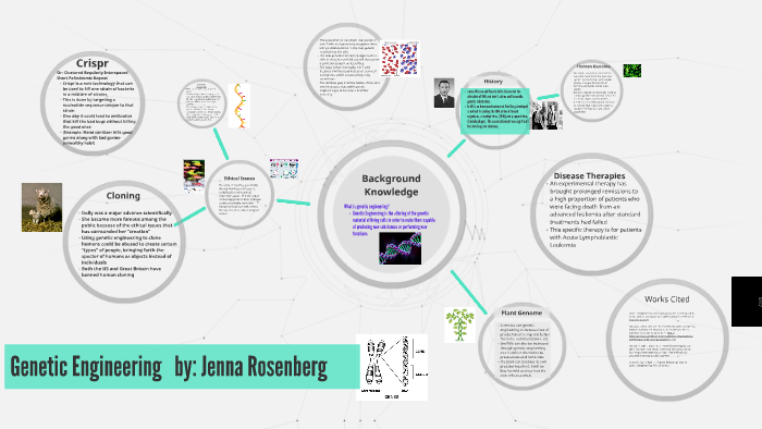 Genetic Engineering by Jenna Rosenberg on Prezi