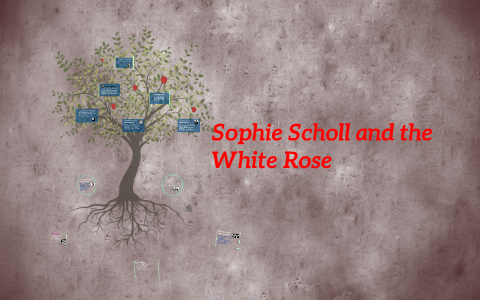 Sophie Scholl and the White Rose by Annika Odt on Prezi