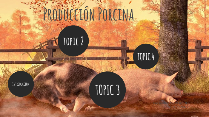 Produccion Porcina by Roberto Paganoni Torres on Prezi