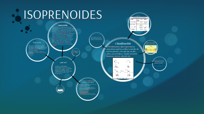 ISOPRENOIDES by Fany Rmz on Prezi