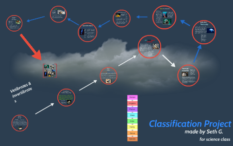 Classification Project by Seth Giles