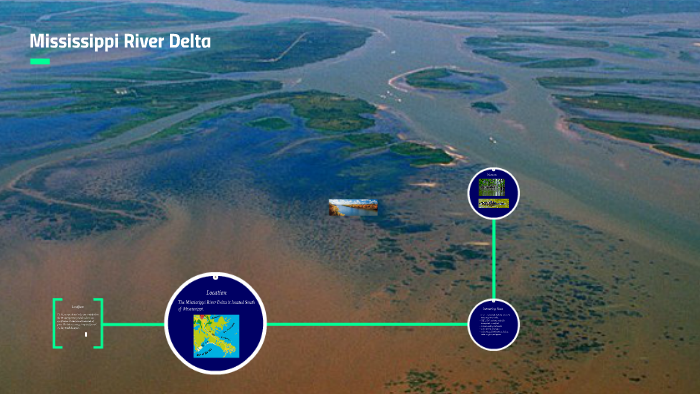 Mississippi River Delta by jazlyn simms on Prezi