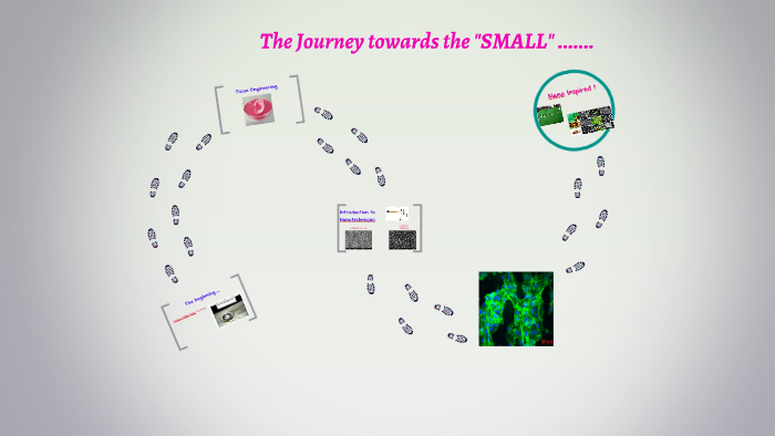 The beginning.... by Priyanka Ruparelia on Prezi
