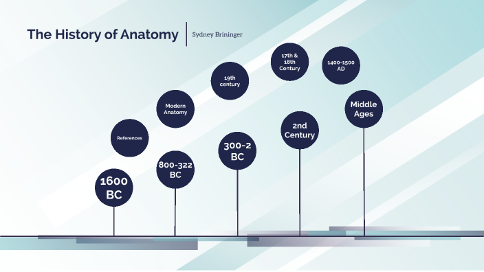 The History of Anatomy by Sydney Brininger on Prezi