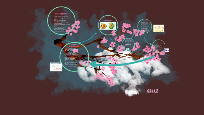 Cells by Reagan Wexelman on Prezi