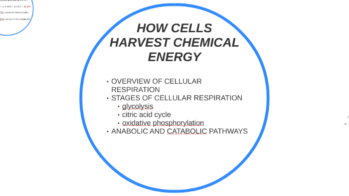 Chapter 7: How Cells Harvest Energy by Jay Jolito on Prezi