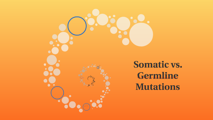 Somatic vs. Germline Mutations by Samantha Colon on Prezi