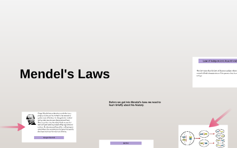 Mendel's Laws by Jaundra Clark on Prezi