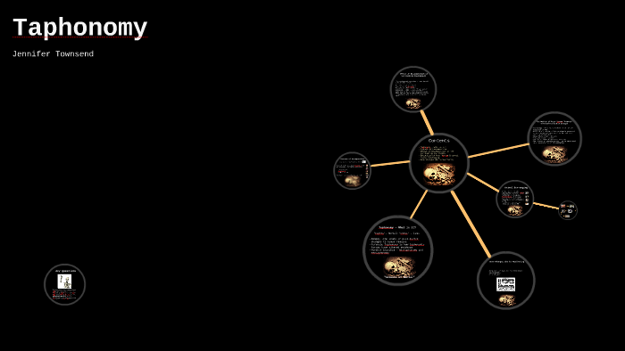 Taphonomy by Jennifer Townsend on Prezi