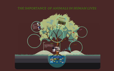 THE IMPORTANCE OF ANIMALS IN HUMAN LIVES by Dayana Marroquin on Prezi