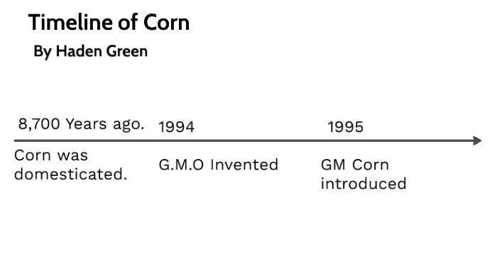 Timeline of Corn by snickers dogo shitsu-poodle mix on Prezi