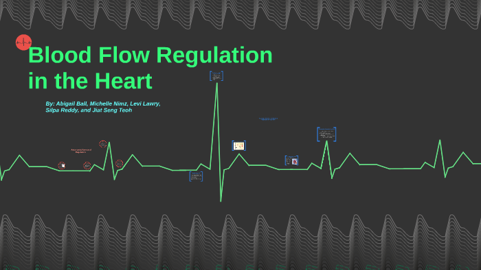 Blood Flow Regulation in the Heart by Michelle Nimz on Prezi
