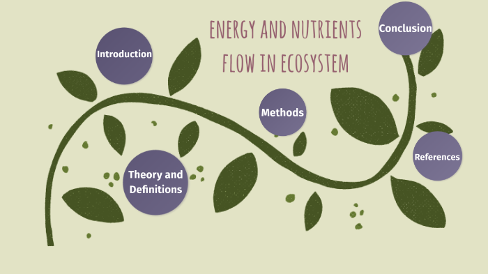 energy and nutrients flow in ecosystem by omar darwish on Prezi