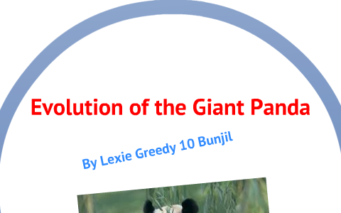 Evolution of the Giant Panda by Alexandra Greedy on Prezi